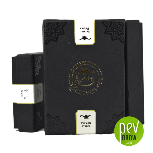 Persian Prince | Graines de cannabis Khalifa Genetics |PEV