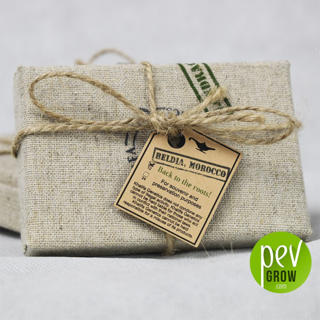 Moroccan Beldia - Buy Khalifa Cannabis Seeds in PEV