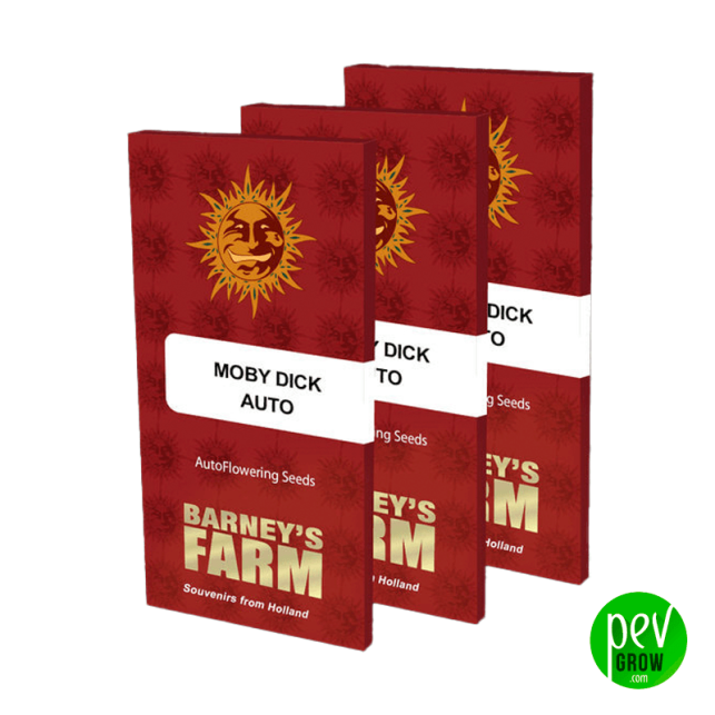 Moby Dick Auto - Achetez des graines de Barneys Farm chez Pevgrow