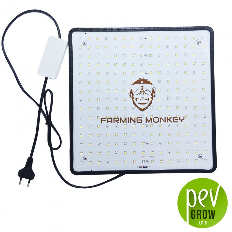 LED Farming Monkey 35W Flowering - Buy Led Panel at Pevgrow