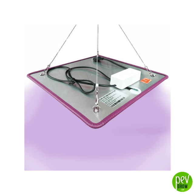 UV LED Resinator 40w - Buy LED Farming Monkey at Pevgrow