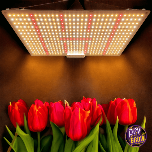 Led Super Board 100/150W