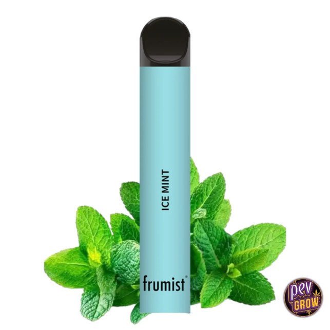 Buy Frumist Ice Mint Disposable Vape at Pevgrow.