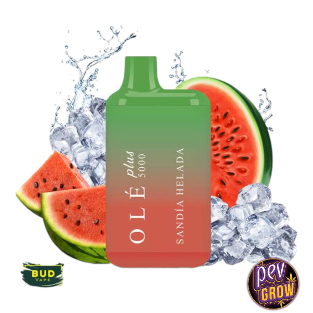 Achetez Puff cigarette Pastèque Glacée Ole Plus 5000 Bud Vape | Pevgrow
