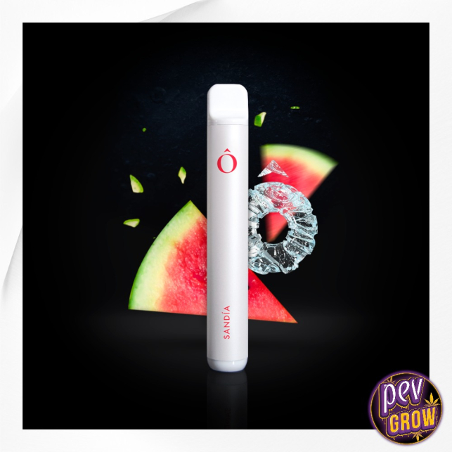 Achetez le Puff Cigarette Pastèque de Baoly à petit prix chez Pevgrow.