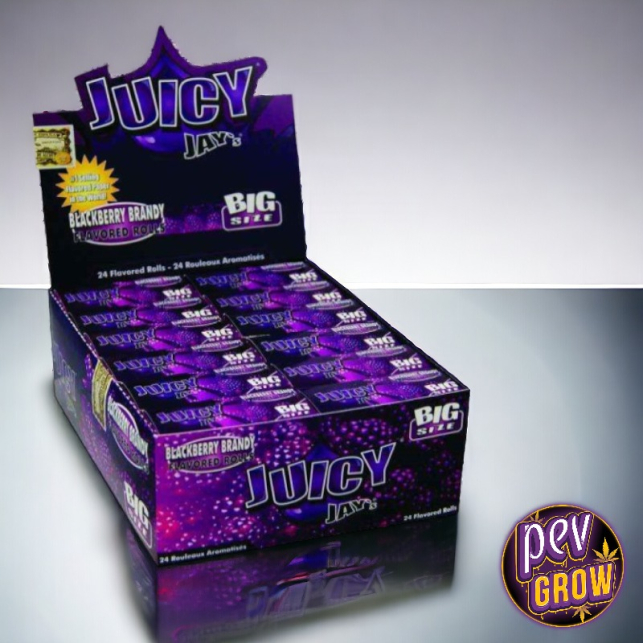 Buy Juicy Jay's Flavored Rolling Paper Rolls Blackberry Brandy | Pevgrow