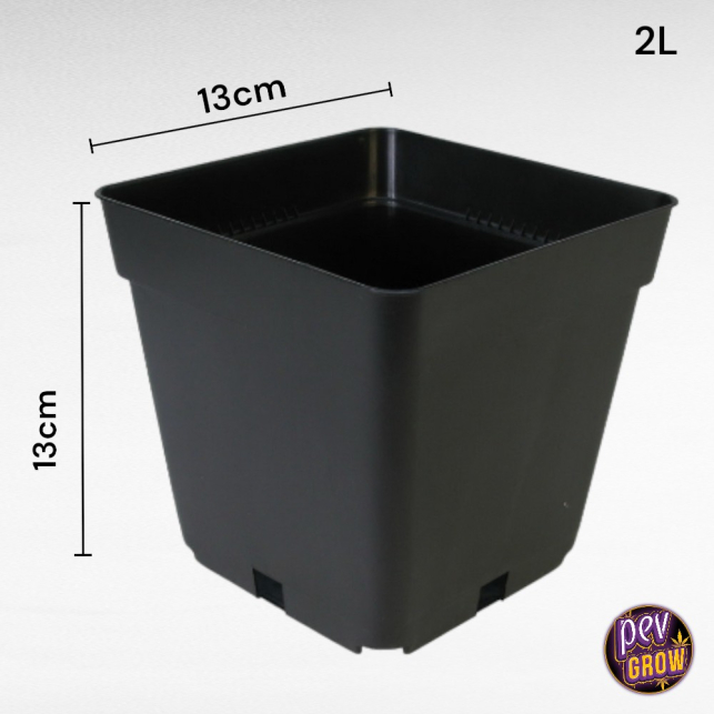 Buy Black Plastic Square Pot 2L and 13x13x13cm | Pevgrow