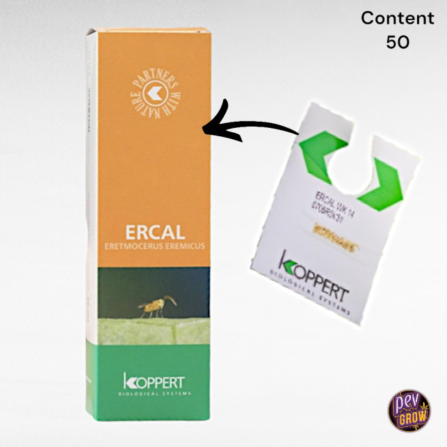 Compra Ercal 3000 Eretmocerurs Eremicus (Mosca Blanca) en Pevgrow