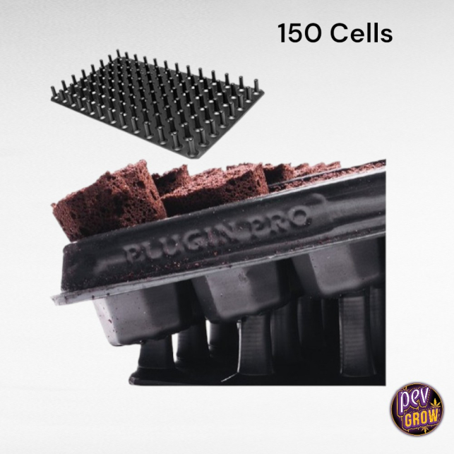 Buy Cheap 150 Cell Extraction Tray at Pevgrow