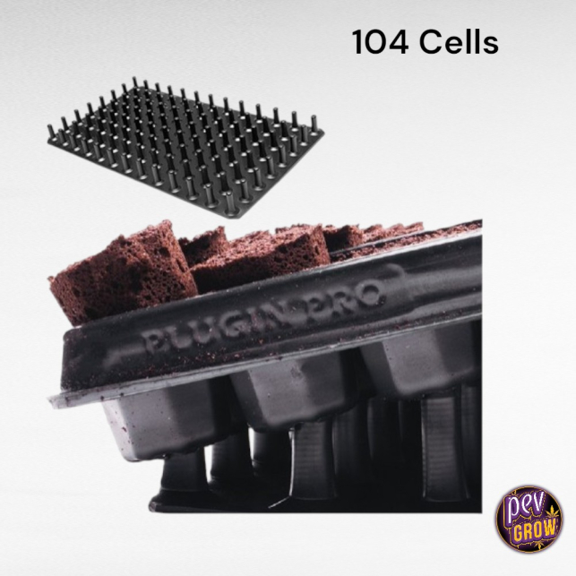 Buy 104 Cell Extraction Tray and Do Not Damage the Roots | Pevgrow