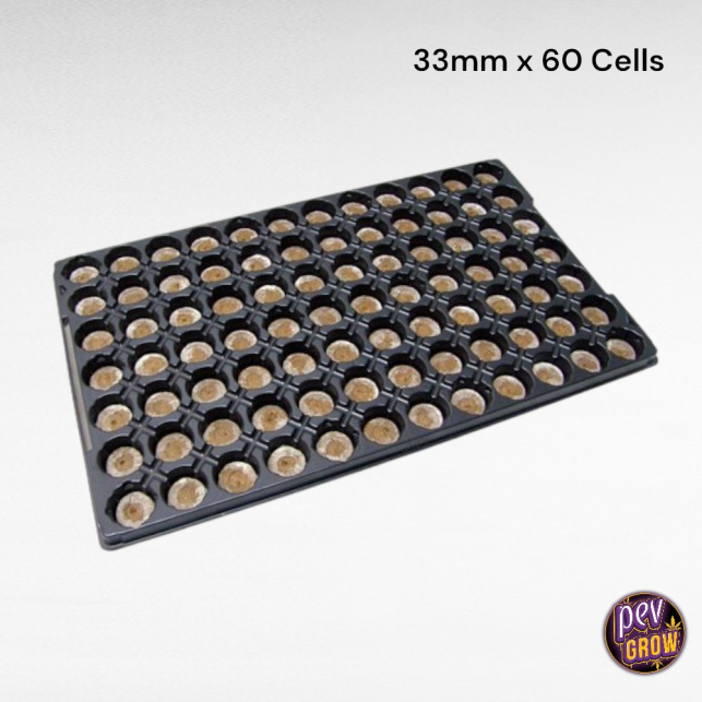 Buy Jiffy Tray 33mm 60 Cells: Efficient and Sustainable Rooting | PEV