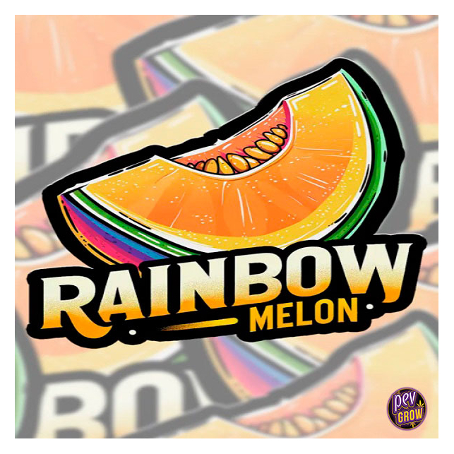 Buy Rainbow Melon Seeds from Fastbuds - Exceptional Potency and Flavor ...
