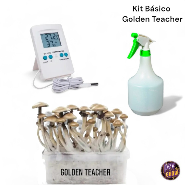 Buy Basic Mushroom Kit and Grow Your Own Mushrooms at Home | Pevgrow