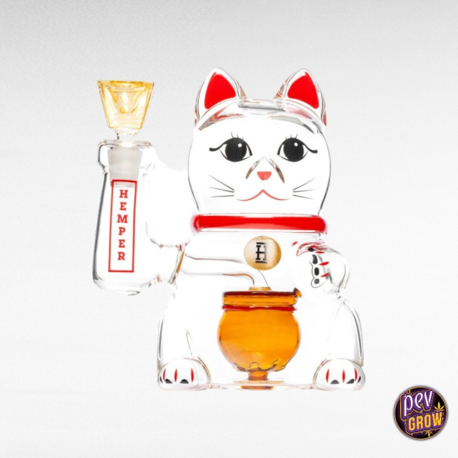 Buy Lucky Cat Bong: Style and Luck at the Best Price | Pevgrow