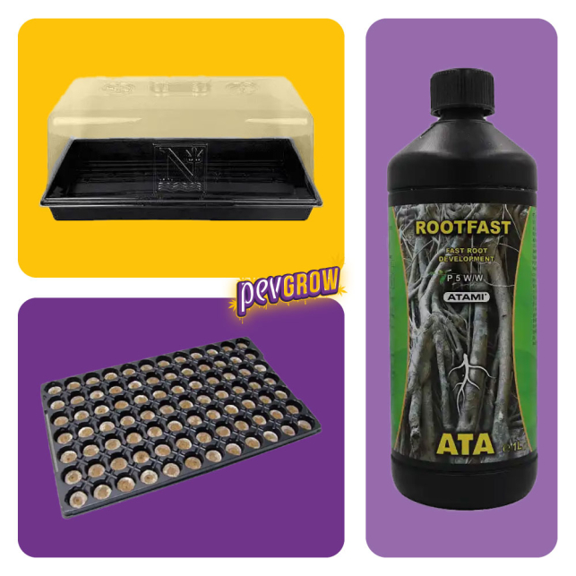 Buy Cannabis Germination Kit at Pevgrow: Perfect Start for Your Seeds.