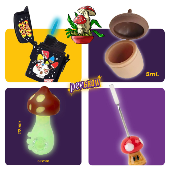 Buy Mushroom Smoking Kit [Pipe, Dabber, Lighter, and Box] Pevgrow.