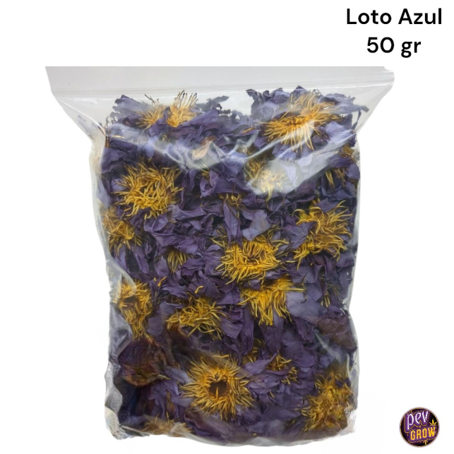 Buy quality dried Blue Lotus Flowers [50 grams] Pevgrow.