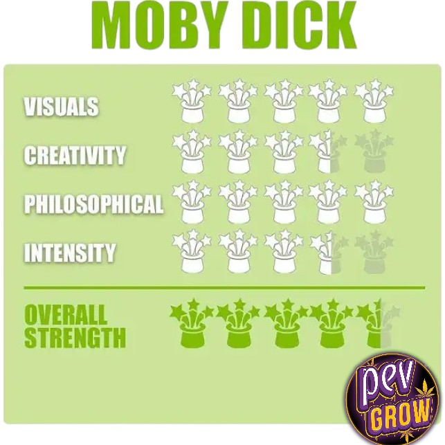 Moby Dick magic mushroom cultivation kit