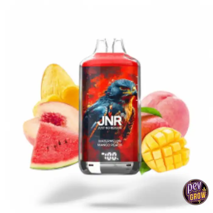 Buy Puff 28k JNR Falcon-X rechargeable and powerful at Pevgrow