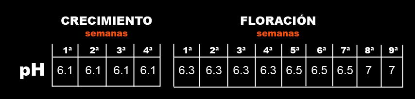 It is very important to know the pH and EC of cannabis grow