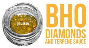 Different BHO finishes. Get to know them!
