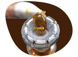 Shatter BHO ¿Qué es y cómo se hace?