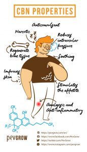 CBN: Properties, Benefits and all the information...