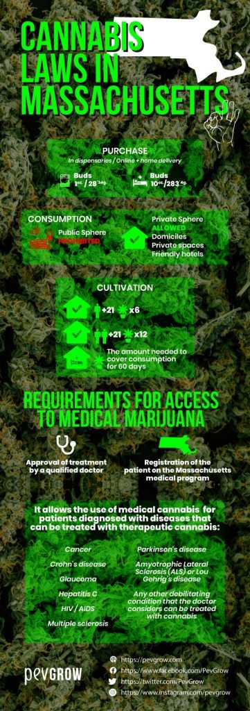 Is Marijuana Legal in Massachusetts? Enter and find out about its laws