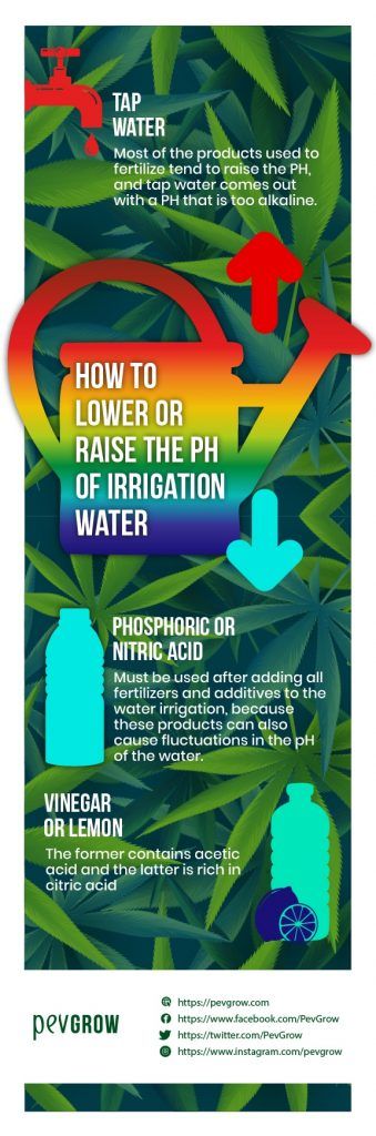 How to lower the PH of irrigation water or substrate? Click here