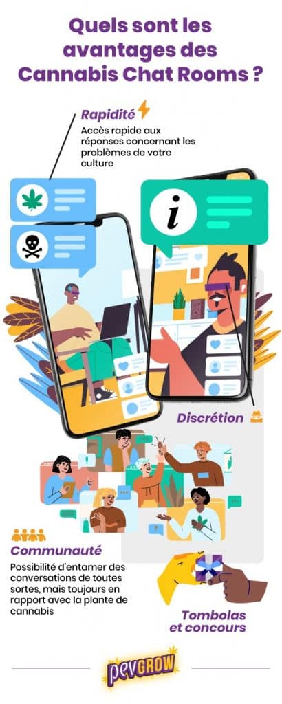 Cannabis Chat - Parlez de la weed sur Telegram, Discord et autres