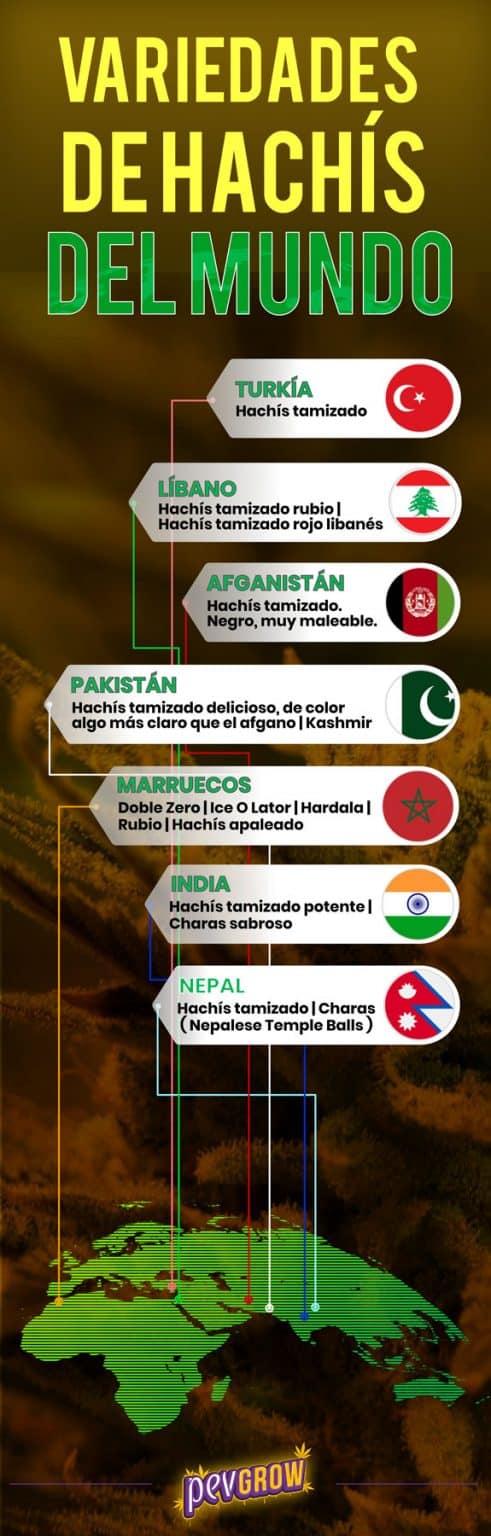Tipos de Hachís, los Mejores Concentrados Cannábicos del Mundo