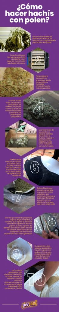 Polen Droga - Qué es, Tipos, Efectos y Cómo se Hace | Pevgrow