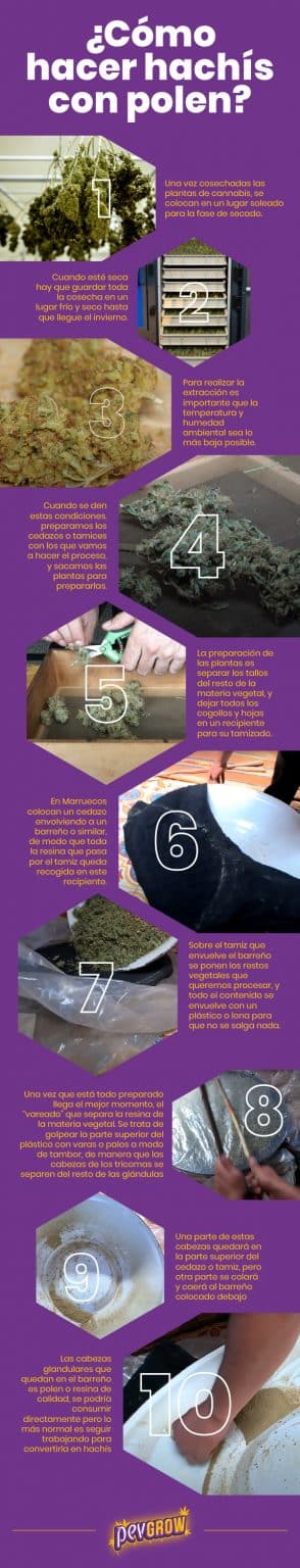 Polen Droga - Qué es, Tipos, Efectos y Cómo se Hace | Pevgrow