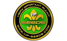 Buy Cheap Autoflowering Seeds (+900 varieties) - Find it here!