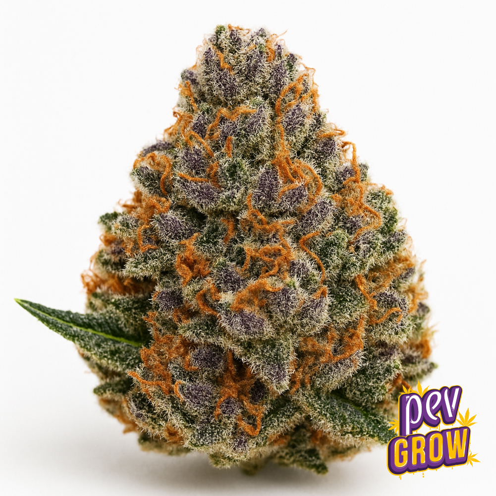 Red Velvet Strain Semilla Feminizada - Pevgrow